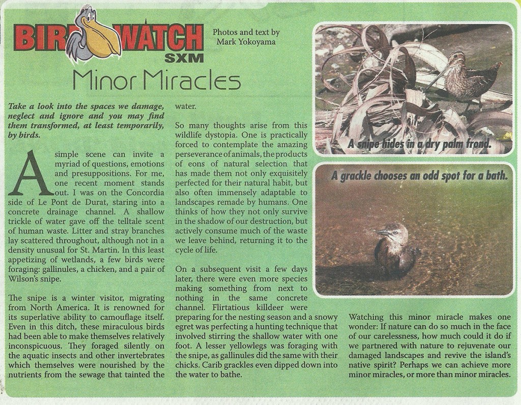 Minor Miracles – Association Les Fruits de Mer