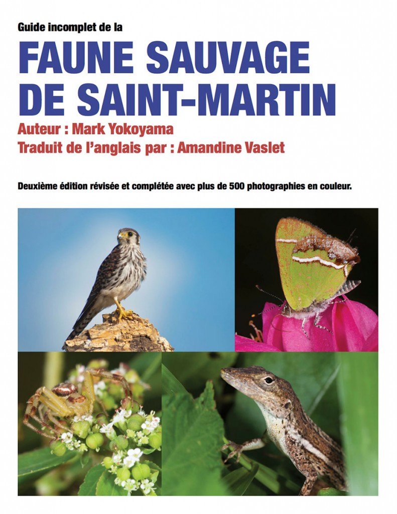 St. Martin Wildlife Guide – Association Les Fruits de Mer