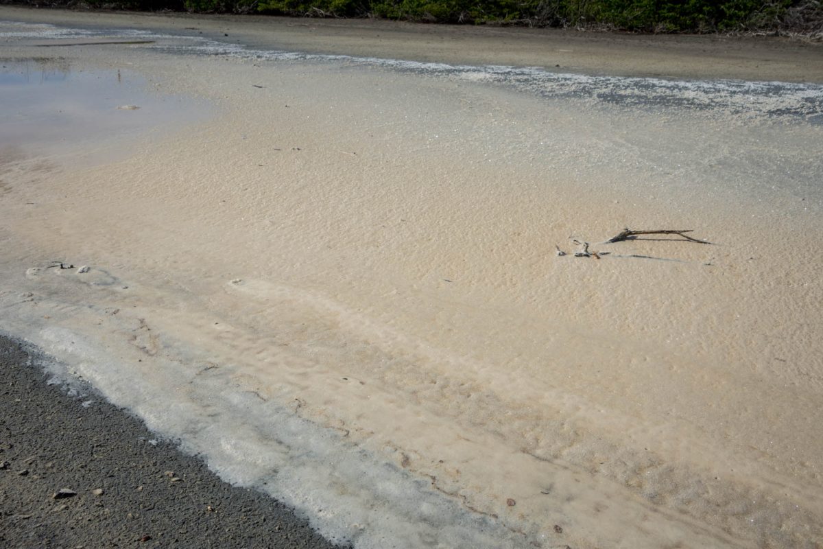 Salt Blowing – Association Les Fruits de Mer