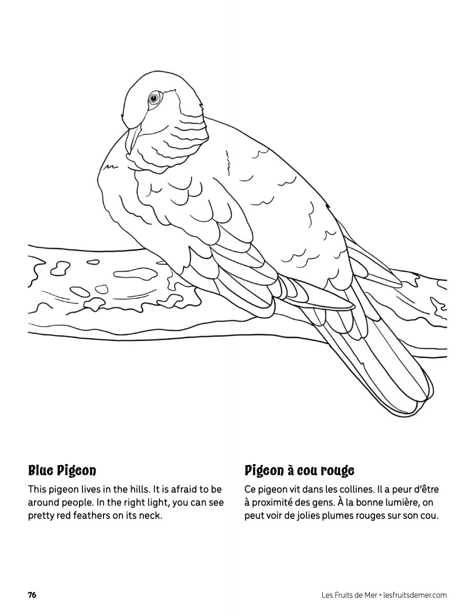 Blue Pigeon Coloring Page – Coloriage de Pigeon à cou rouge ...