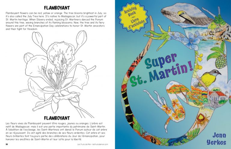 Flamboyant coloring page – Coloriage de Flamboyant – Association Les ...