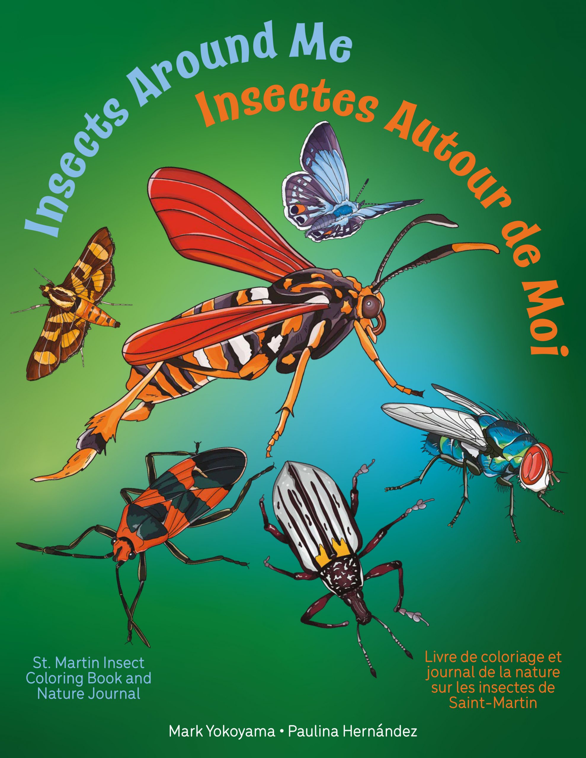 Insects Around Me – Association Les Fruits de Mer